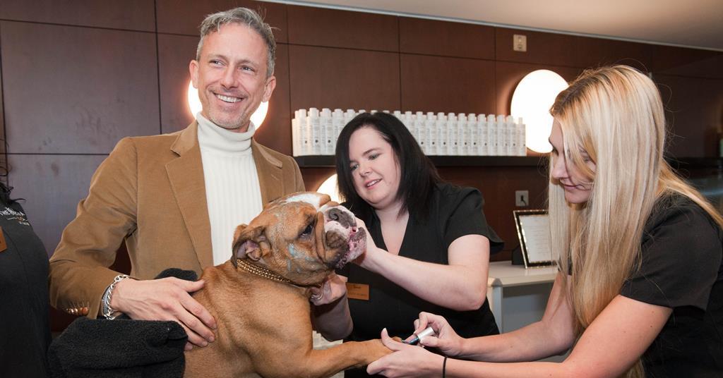 Harrods opens new pet spa | News | Retail Week