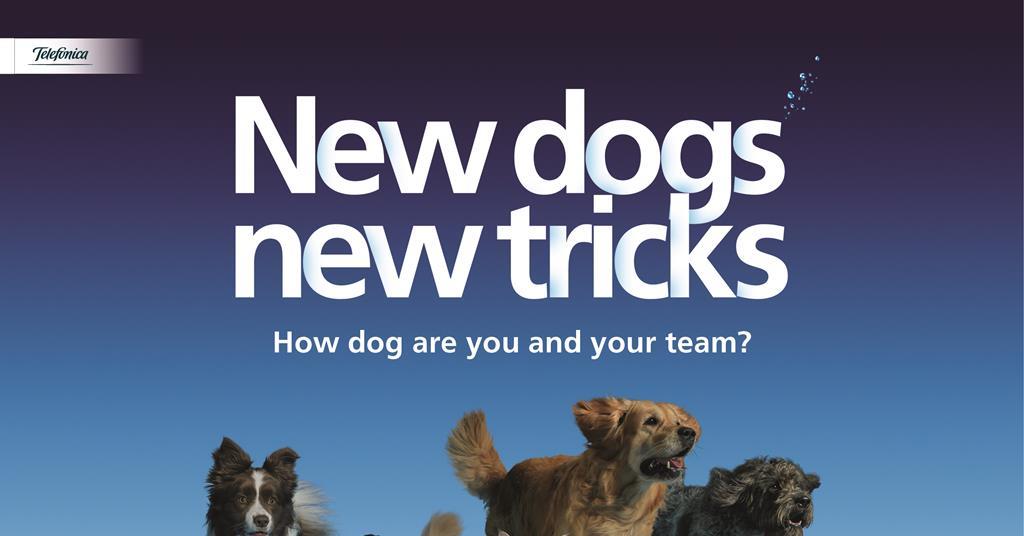 Campaign of the Week: O2 turns its 'Be More Dog' spotlight on Priority ...