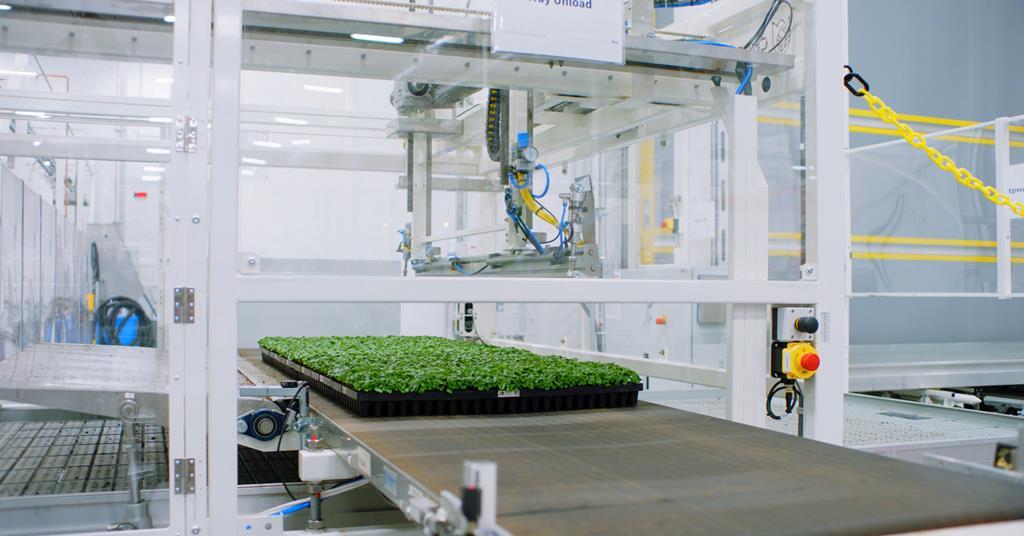 US giant Walmart takes stake in vertical farming start-up Plenty | News ...