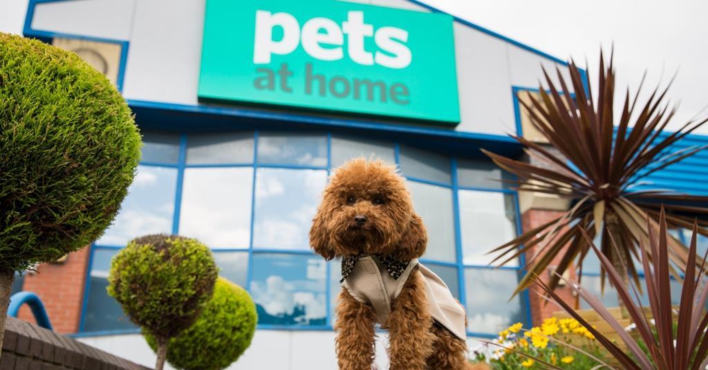 Pets at Home shows why a strong data culture in retail is imperative ...