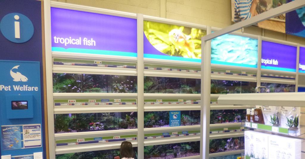 Store gallery: Pets at Home brings stores to life | Gallery | Retail Week