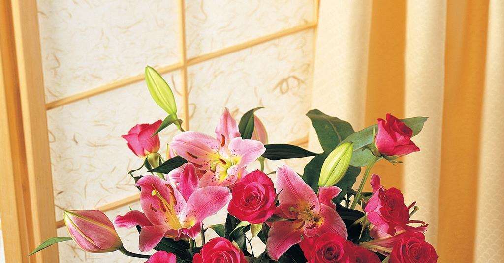 Flying Brands enters personalised cards market as it looks to broaden ...