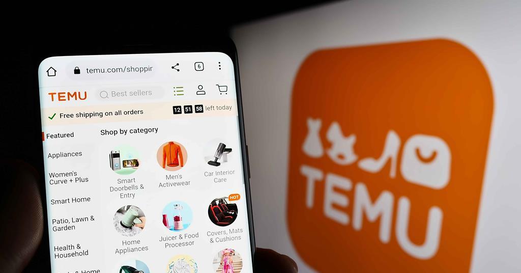 Temu EU profits more than double as low prices draw customers | Retail Week