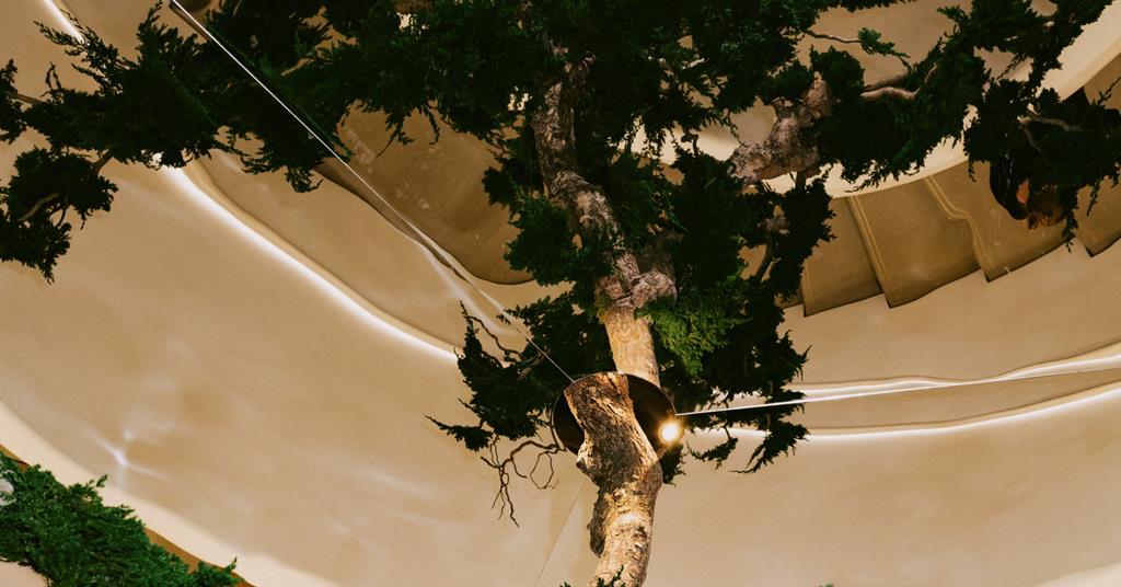 Store gallery: Los Angeles-based luxury activewear brand Alo Yoga opens ...