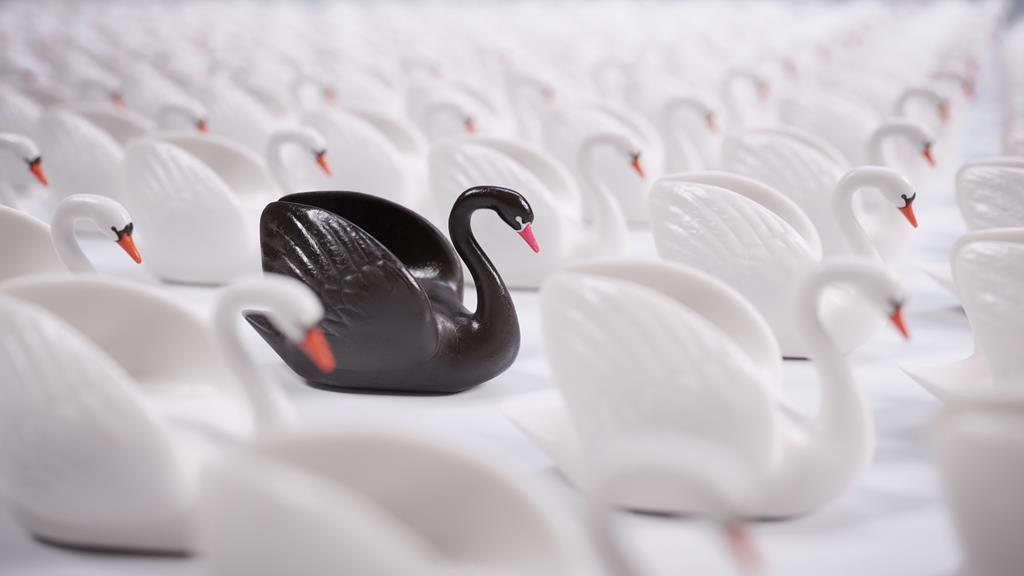 Five steps to help you prepare for the next black swan | Retail Voice ...