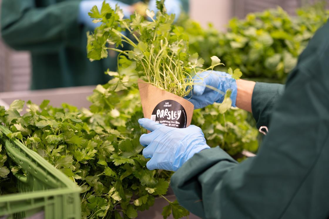 Interview: Infarm’s UK boss on how vertical farms could save the planet ...