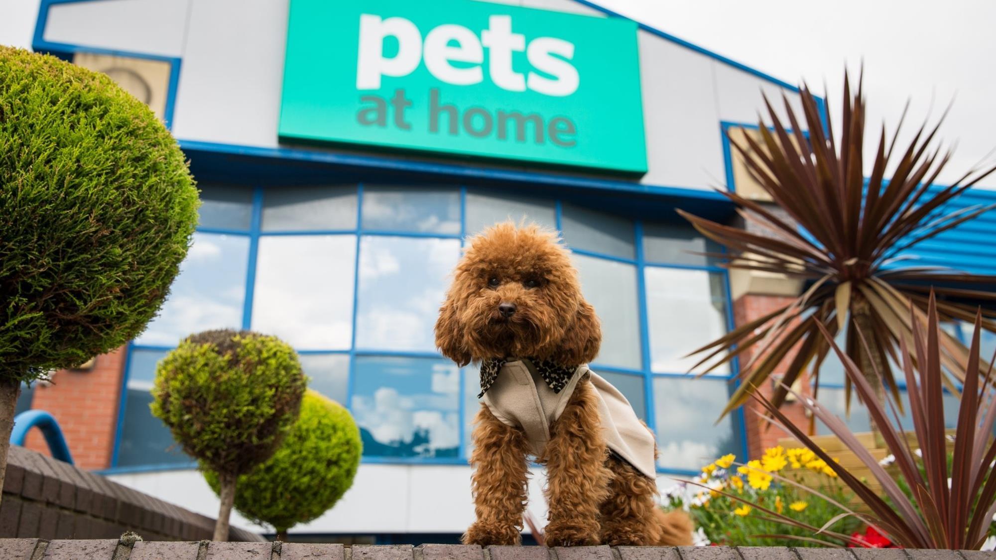 Pets at Home shows why a strong data culture in retail is imperative ...