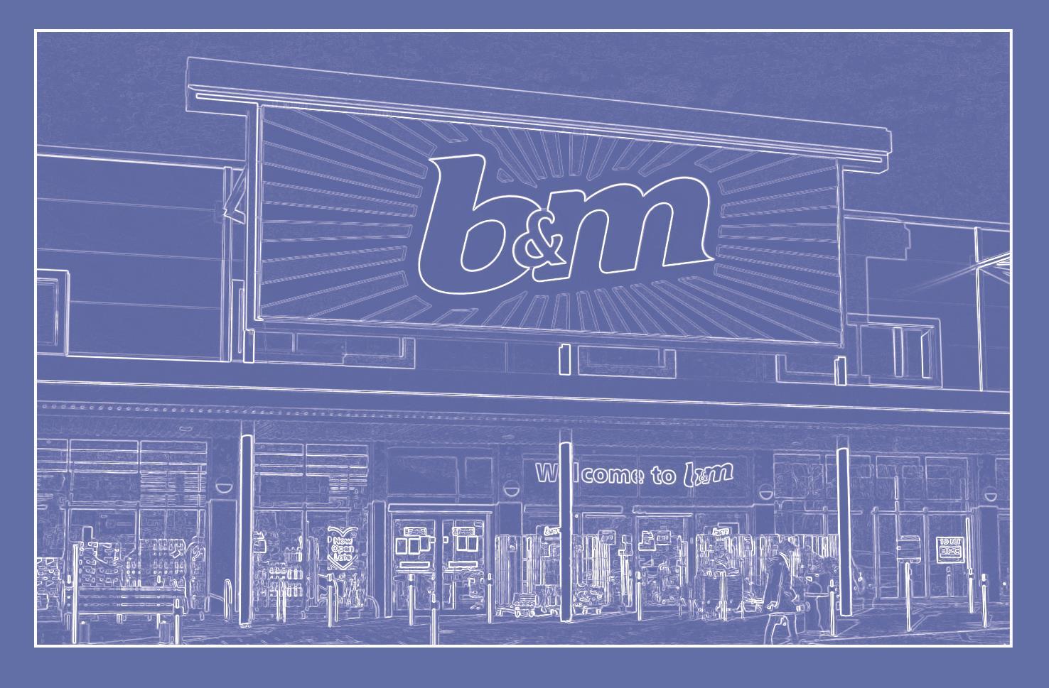 C-suite data: Iceland, Primark, Pizza Hut and B&M reveal store strategy ...