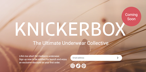 Ann Summers to launch a new lingerie-only marketplace in July 2024 ...